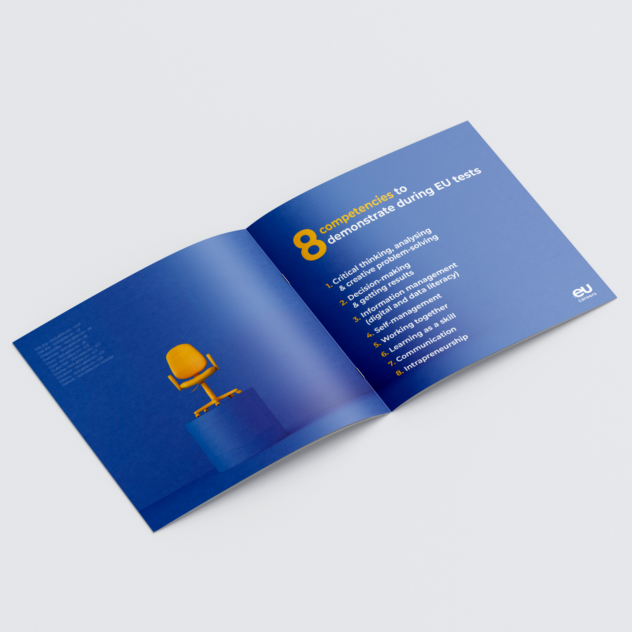 Competency Framework - Sabrina Inglese graphic designer